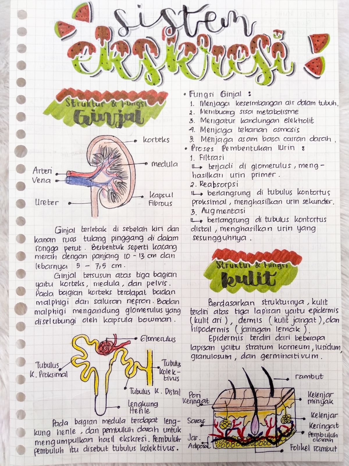 Catatan Studygram: Ide Untuk Bikin Catatan Menarik - Clear Indonesia News