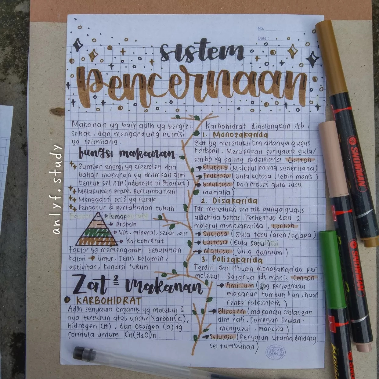 Rangkuman Sistem Pencernaan Kelas 11 - Clear Indonesia News